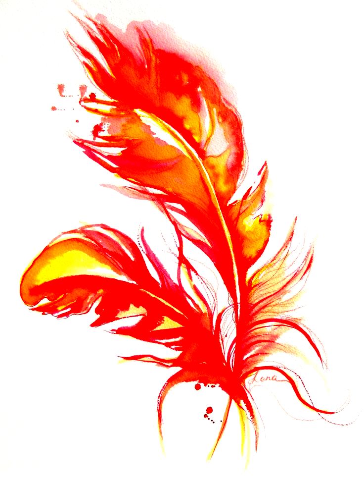 Solara’s January 2017 Surf Report – The Feathers of the Firebird ...